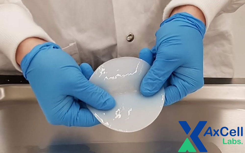 Home - AxCell Labs